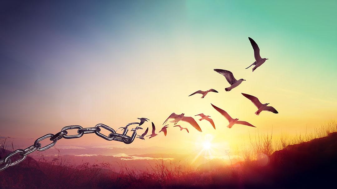 OSHO Emotional Freedom - Breath and the Chakras - Osho International Online