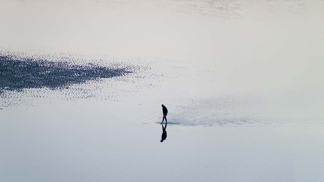 Osho How To Deal With Fear Osho International Online